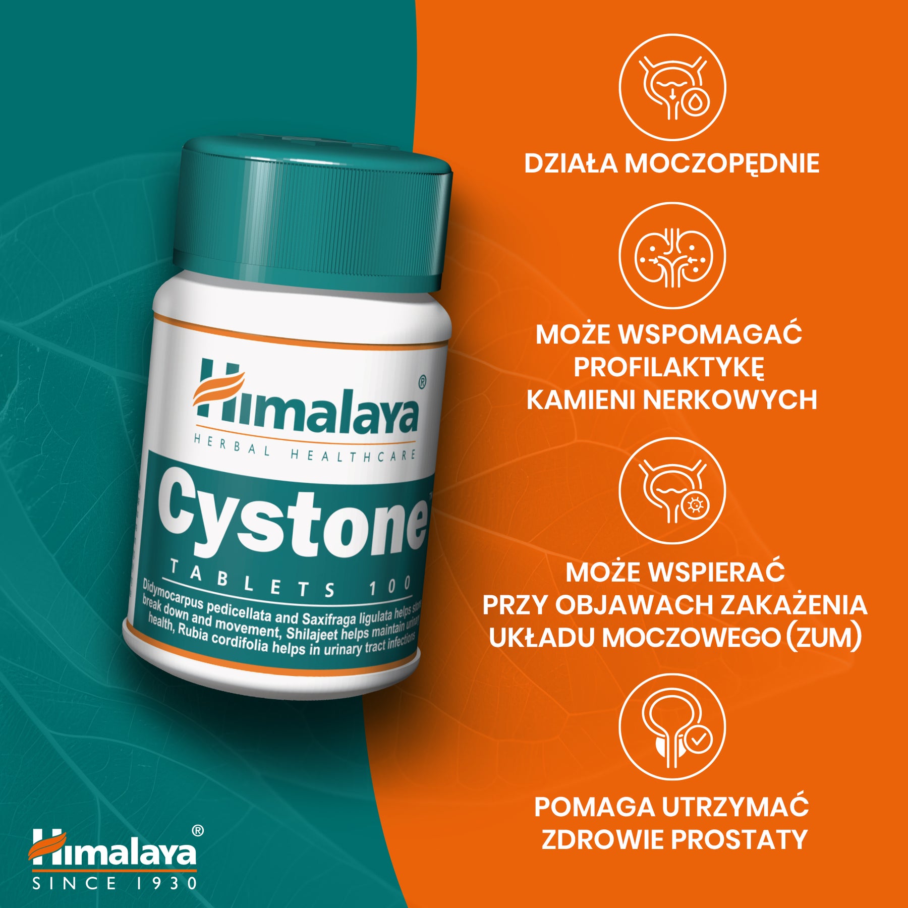 Himalaya Cystone Tablets - Natural Remedy for Kidney Stone – Himalaya ...