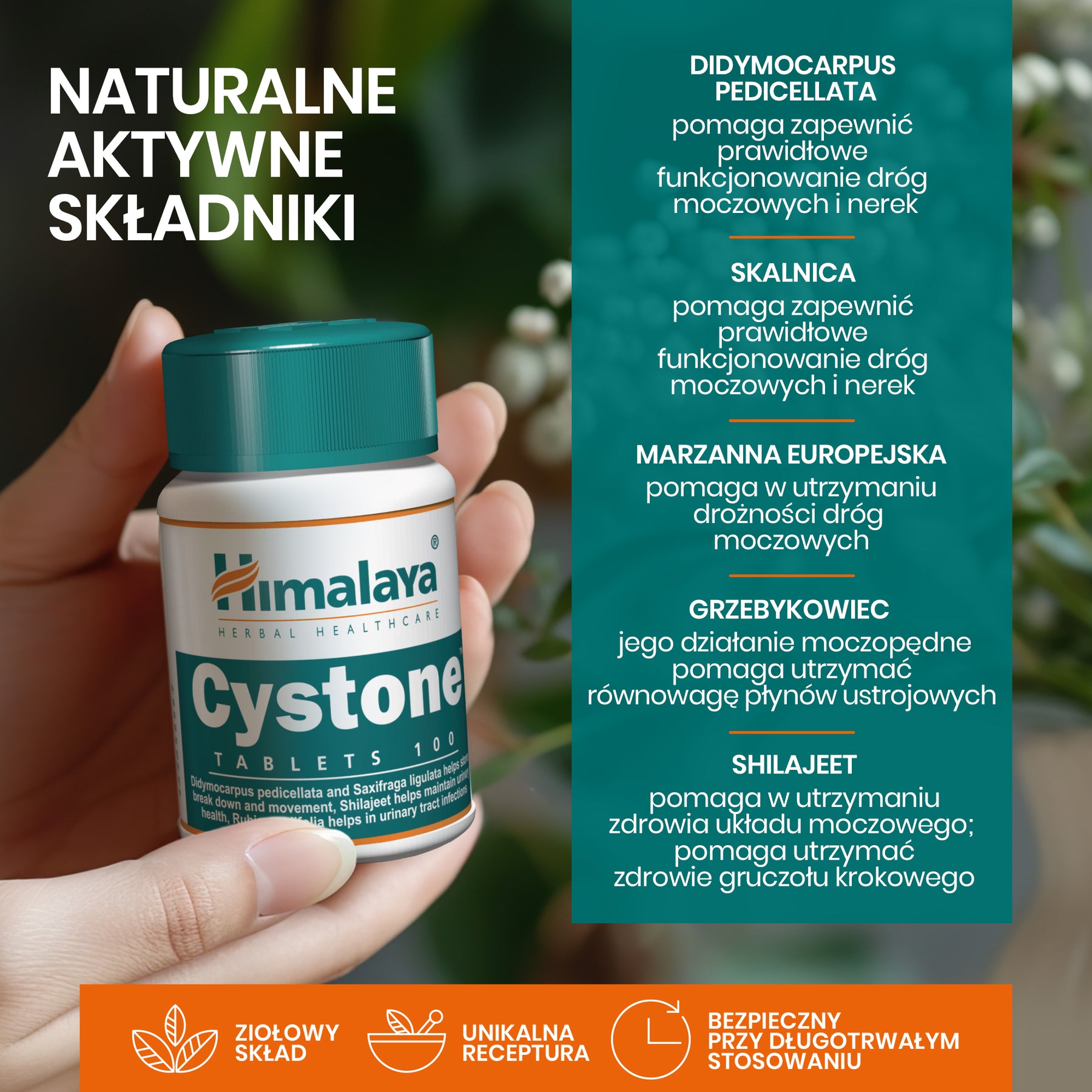 Himalaya Cystone Tablets - Natural Remedy for Kidney Stone – Himalaya ...